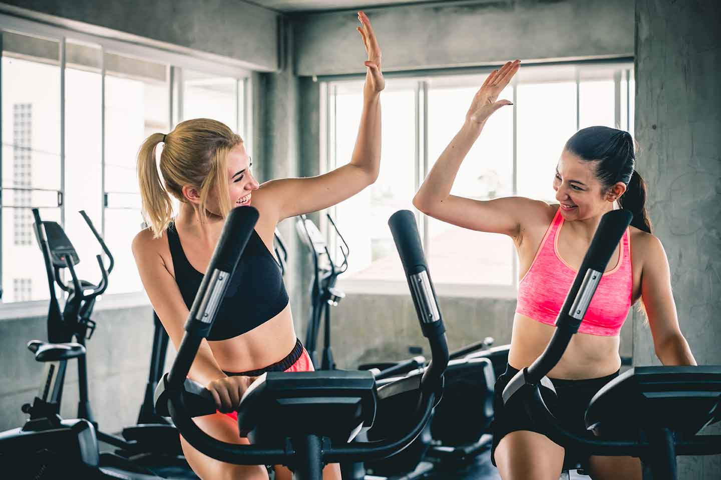 Elliptical Repair - gosrx